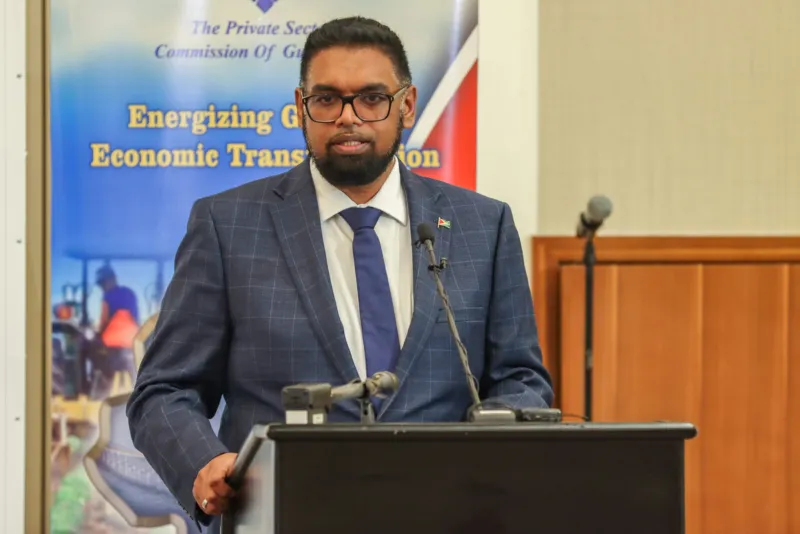 President Ali announces key international partnerships to boost ...